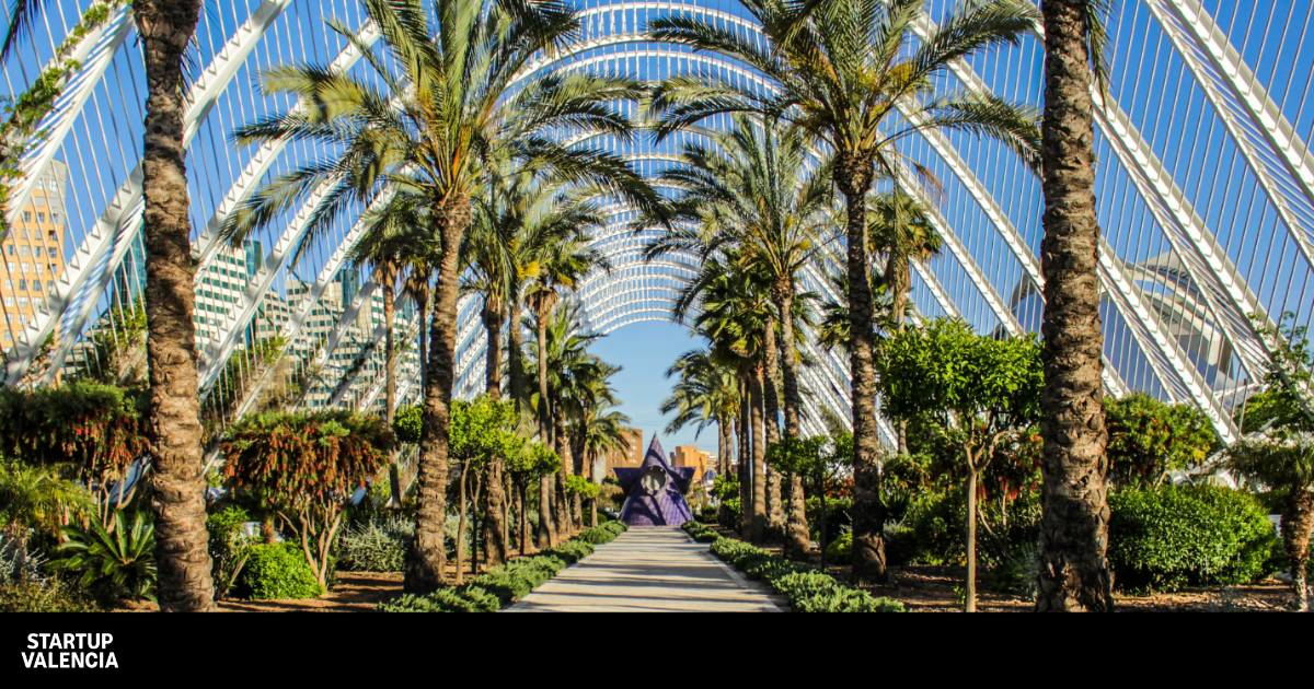 23 Valencian startups to keep an eye on in 2023